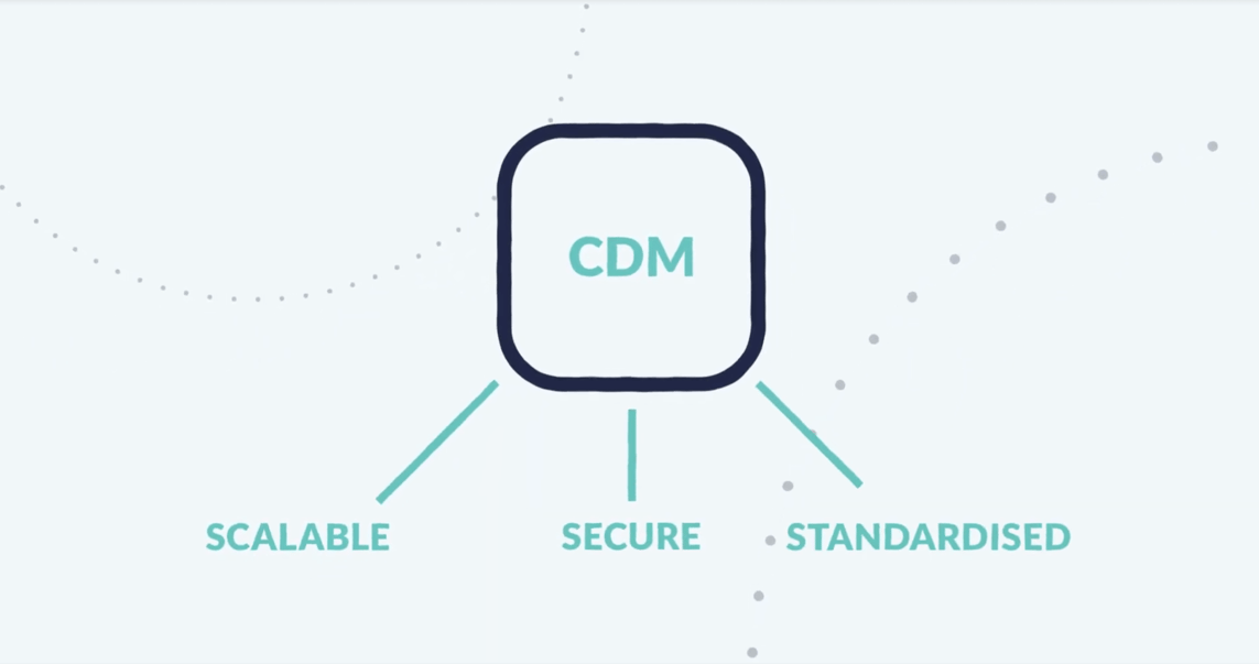Common Domain Model (CDM)
